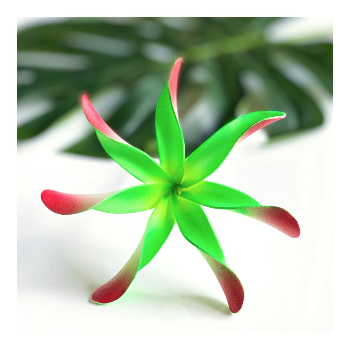 TIARE FOAM FLOWER – Sei Polynesian Chic