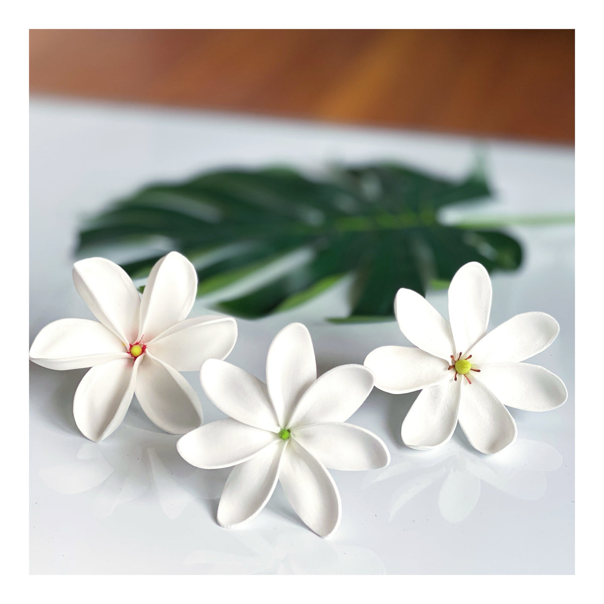 TIARE -WHITE – Sei Polynesian Chic